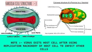 SMALLPOX ( Pathophysiology and Health Education Presentation ) | PPTX