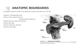 indication for splenectomy | PPTX
