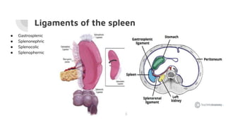 indication for splenectomy | PPTX