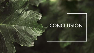 Partial integration Scheme | PPTX