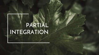 Partial integration Scheme | PPTX