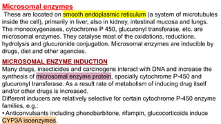 Biotransformation | PPT