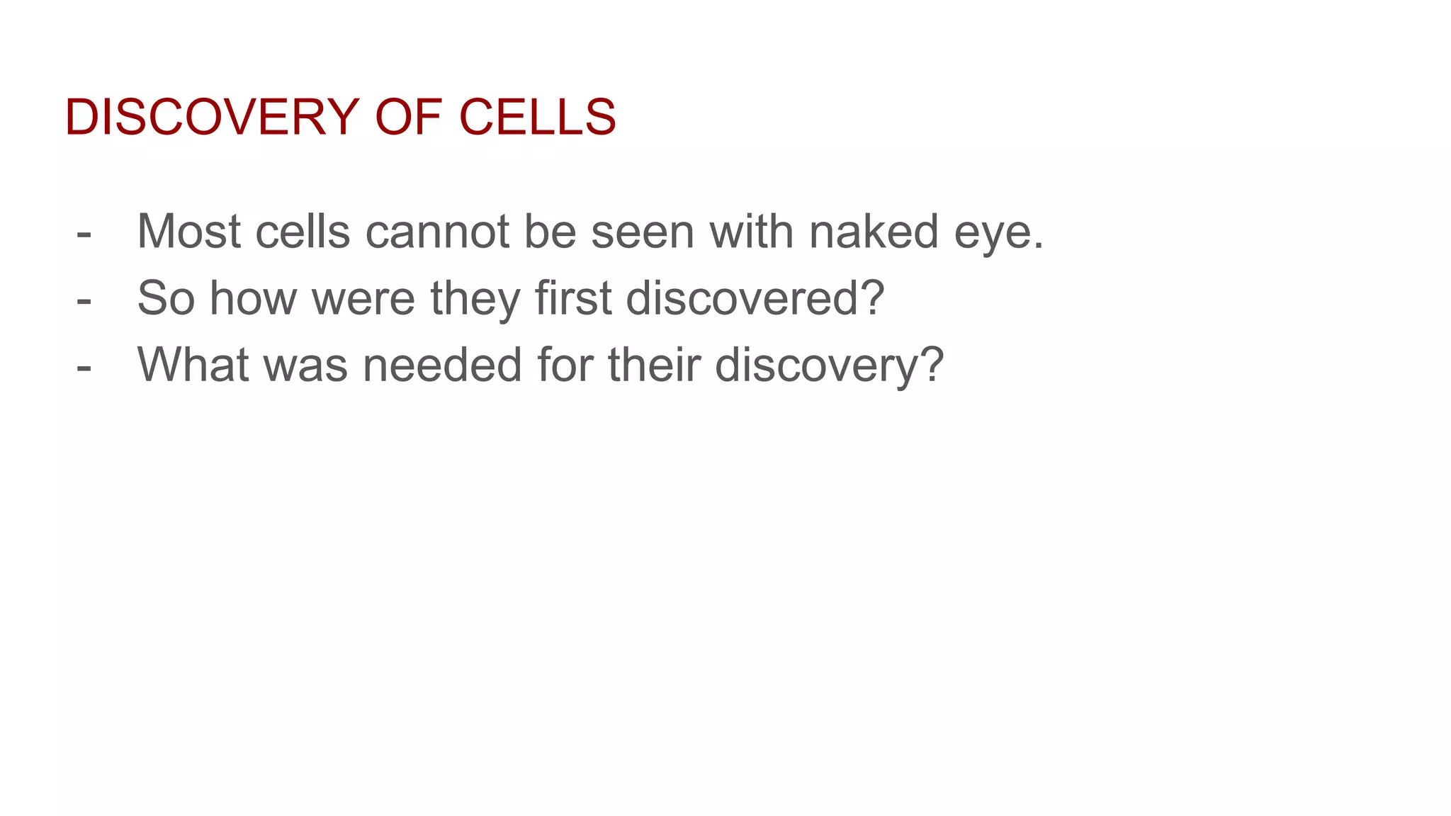 CELLS THEORY | PPT