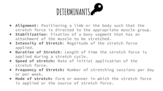 Stretching exercise therapy.pptx