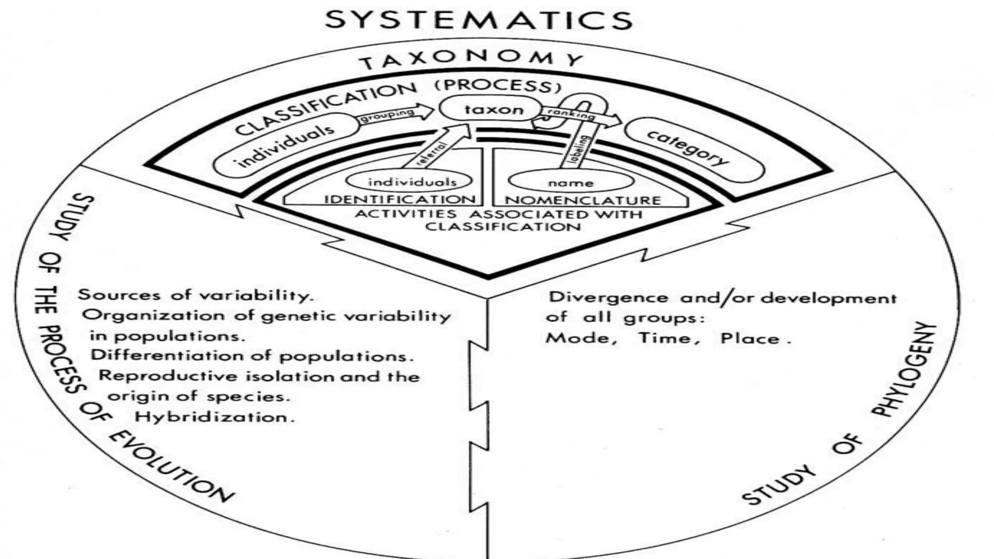 Principles of taxonomy | PDF