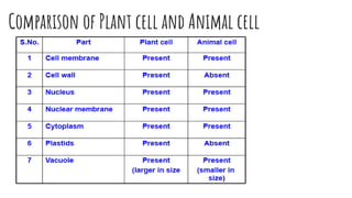 NCERT Class 8:Cell-structure and function | PPTX