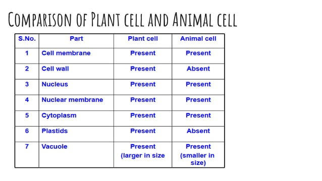 NCERT Class 8:Cell-structure and function | PPTX
