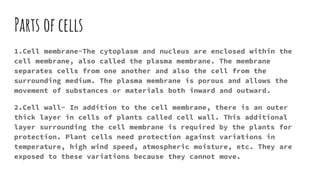 NCERT Class 8:Cell-structure and function | PPTX