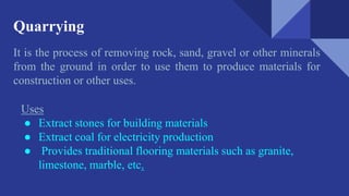 Local environmental issues.pptx