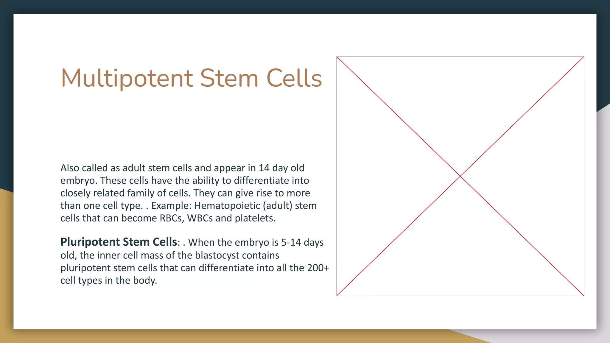 Stem Cell Technology | PDF