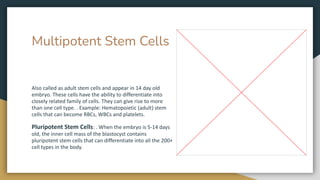 Stem Cell Technology | PDF