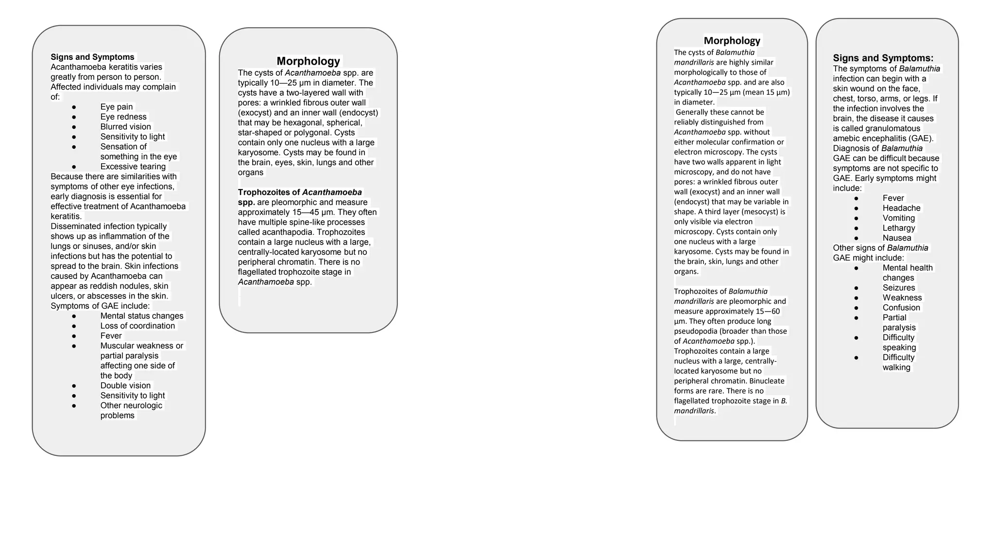 Lifecycle | PPTX