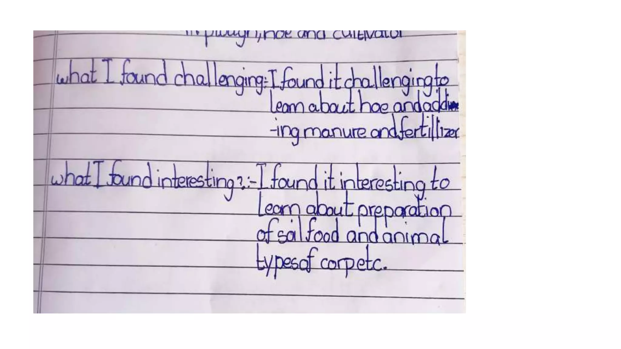Learner's diary | PPTX