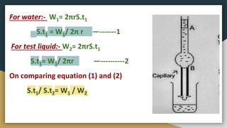 Surface tension | PPT