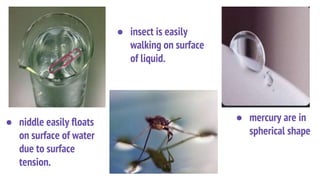 Surface tension | PPT
