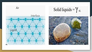 Surface tension | PPTX