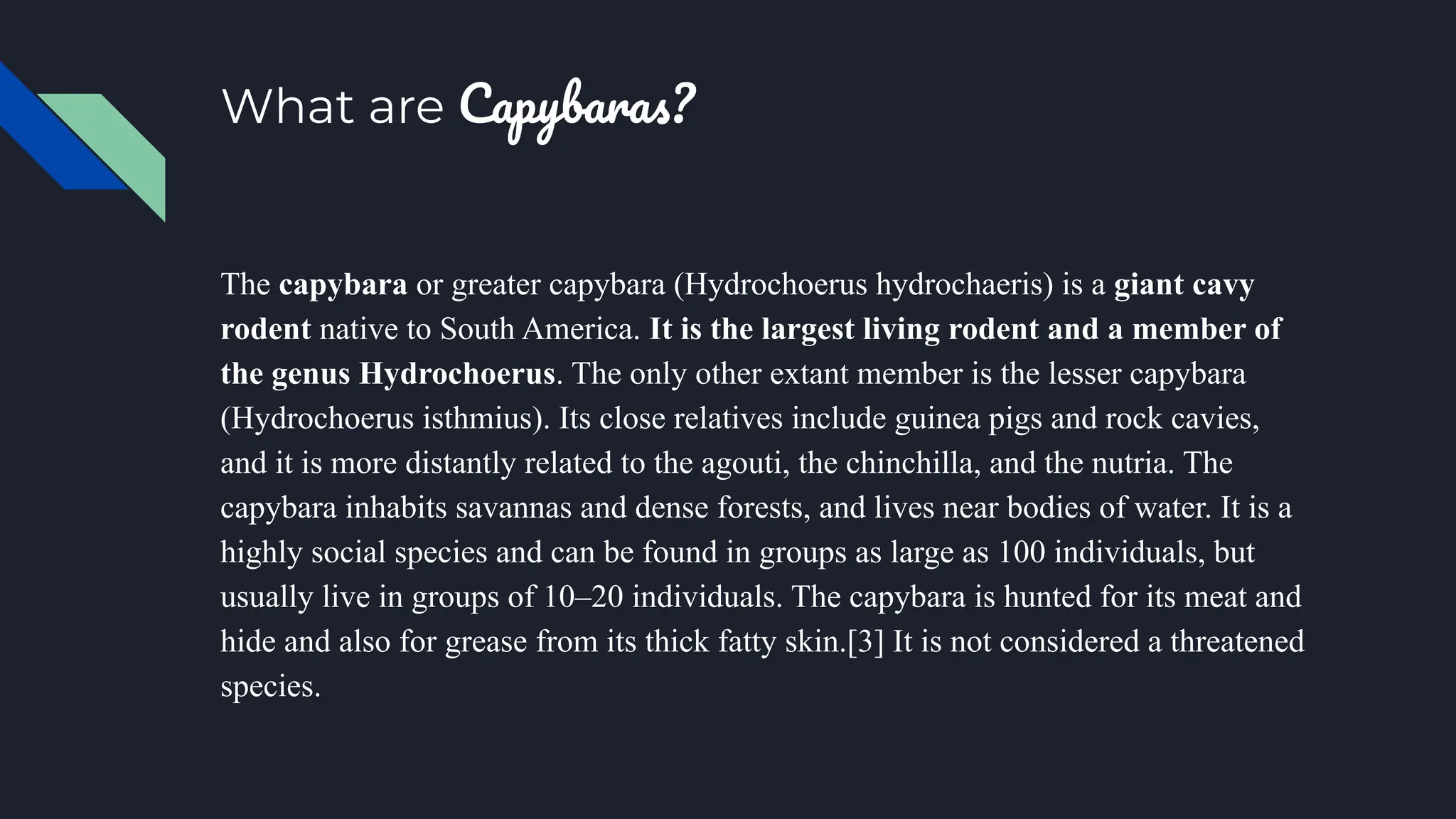 Presentation about Capybara :) | PDF