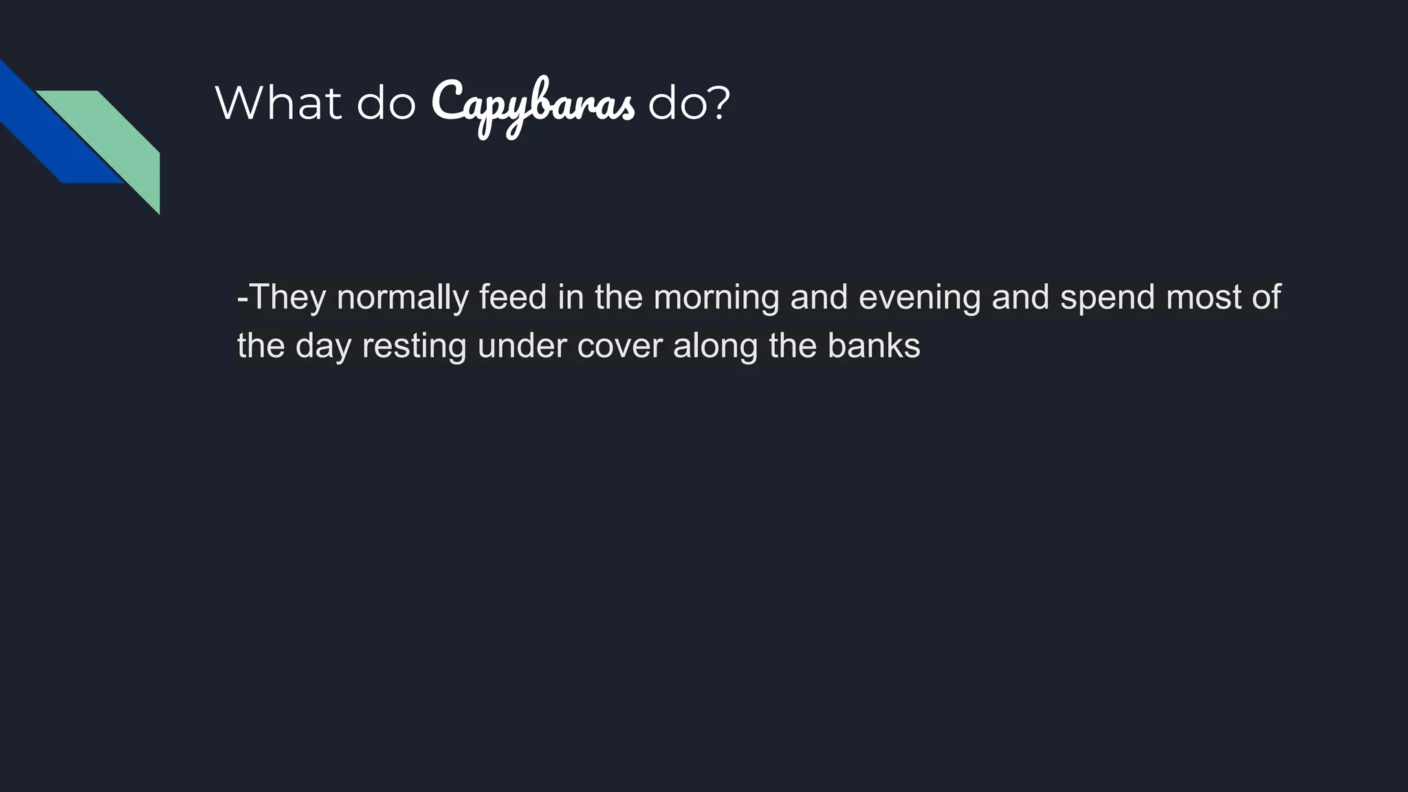 Presentation about Capybara :) | PDF