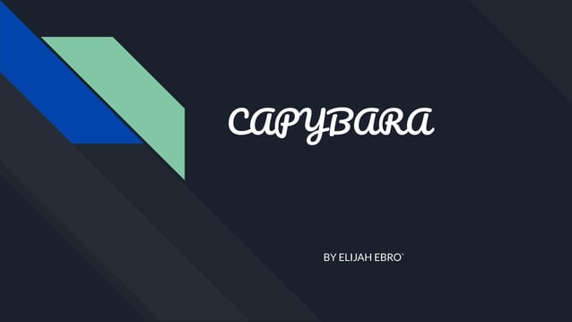Presentation about Capybara :) | PDF | Large Animals | Pets
