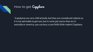 Presentation about Capybara :) | PDF