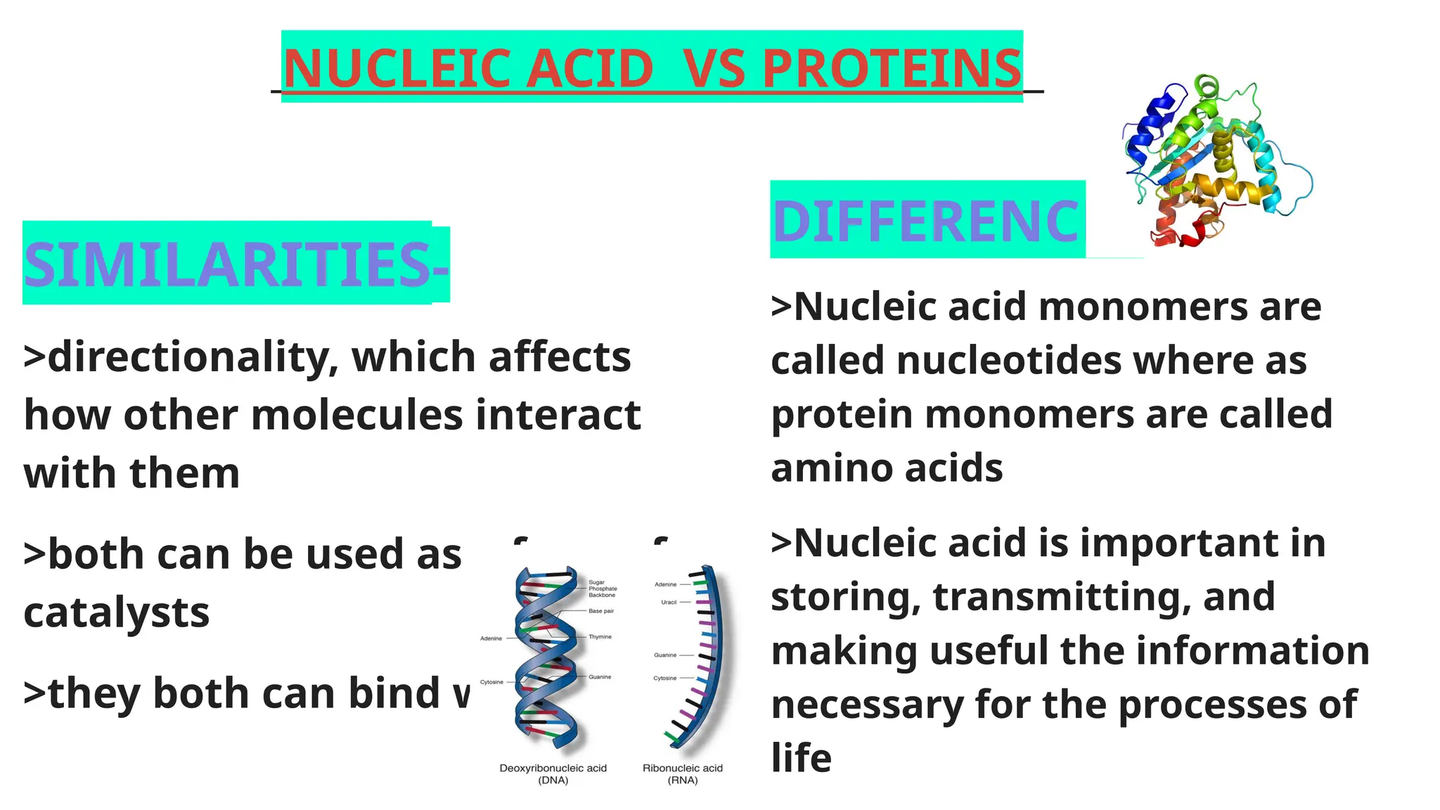 Similarities and Differences of macromolecules.pptx