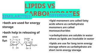 Similarities and Differences of macromolecules.pptx