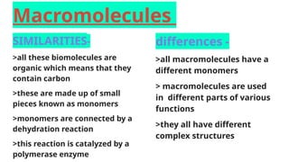 Similarities and Differences of macromolecules.pptx
