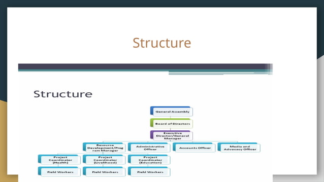 NGO INTRODUCTION ,STRUCTURE FUNCTION AND MANY MORE | PPT