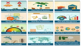 Presentation about pest risk analysis.pdf