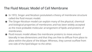 STRUCTURE OF PLASMA MEMBRANE AND CELLULAR TRANSPORT | PPT | Free Download
