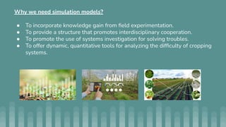 Crop Stimulation models and their uses for optimization of Agricultural ...