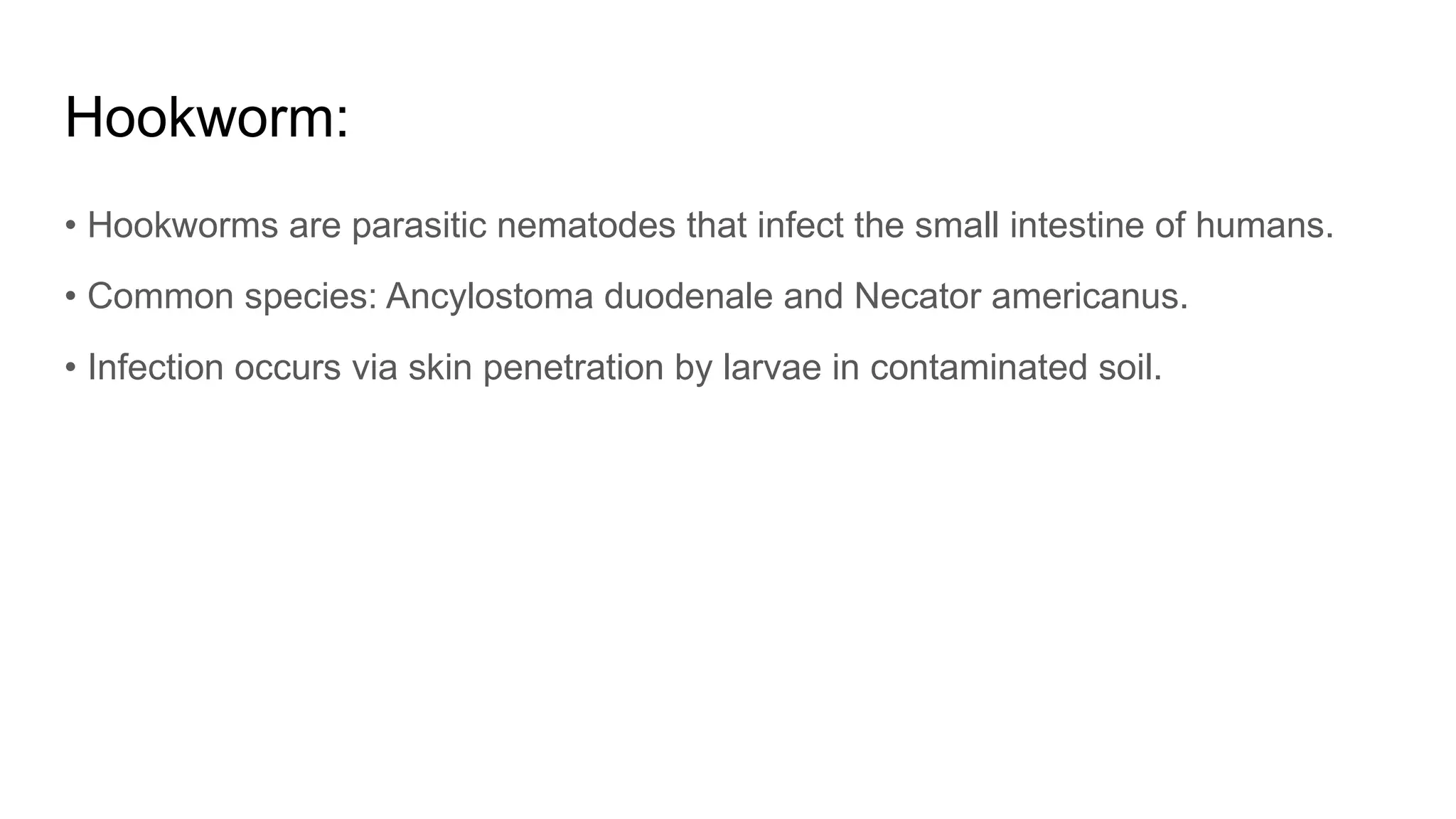 Microbiology Hookworm life cycle ( mbbs MBBS 2nd | PPTX