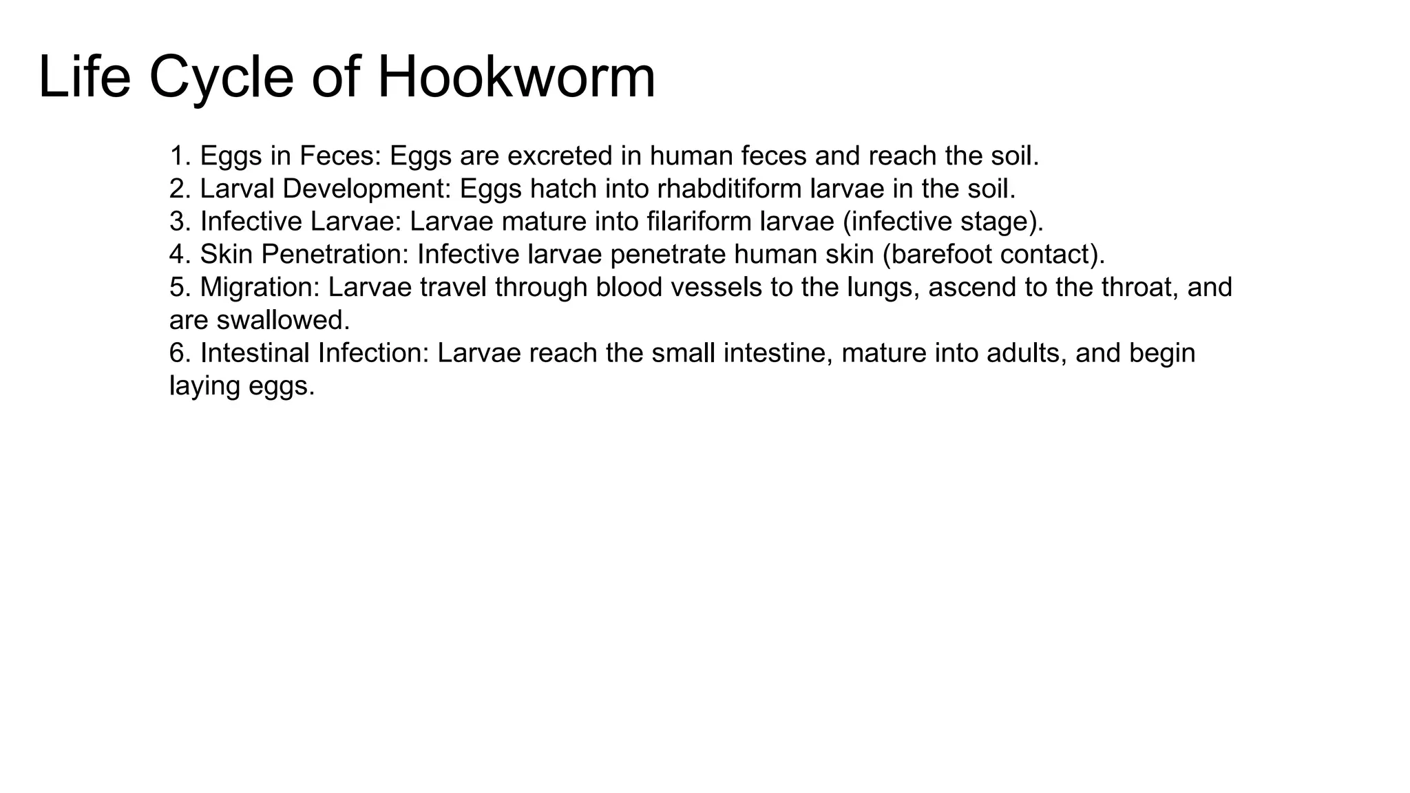 Microbiology Hookworm life cycle ( mbbs MBBS 2nd | PPTX