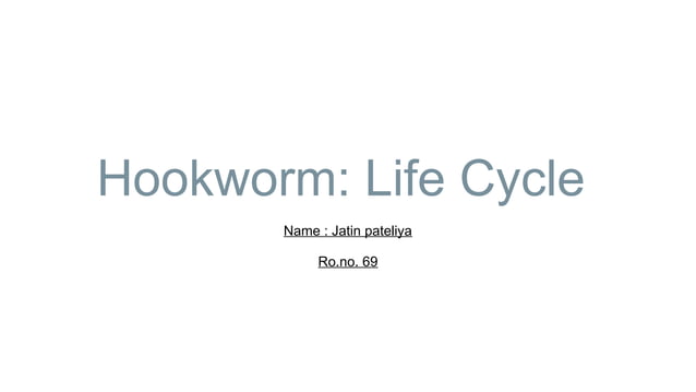 Microbiology Hookworm life cycle ( mbbs MBBS 2nd | PPTX