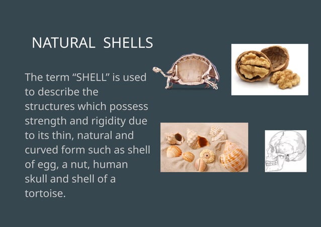 Untitled presentation.pptxefefefefefefefef | PPT