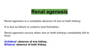 Congenital anomalies of genital urinary system pot | PPTX