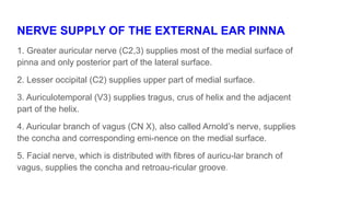 Untitled presentation.external ear ENT department | PPT