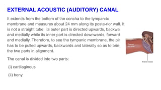 Untitled presentation.external ear ENT department | PPT