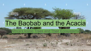 BaobabBaobabBaobabBaobabBaobabBaobab.pptx