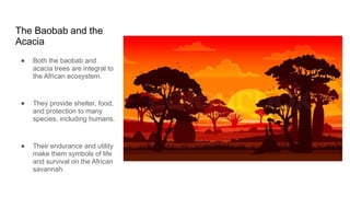 BaobabBaobabBaobabBaobabBaobabBaobab.pptx