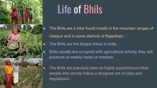 bhils tribe of rajasthan sst project.pdf