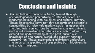 evolution of animals social fcfcggvjhjhgjghv | PDF