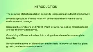 Novel combination of microbes as biofertilizers, PGPR | PPTX