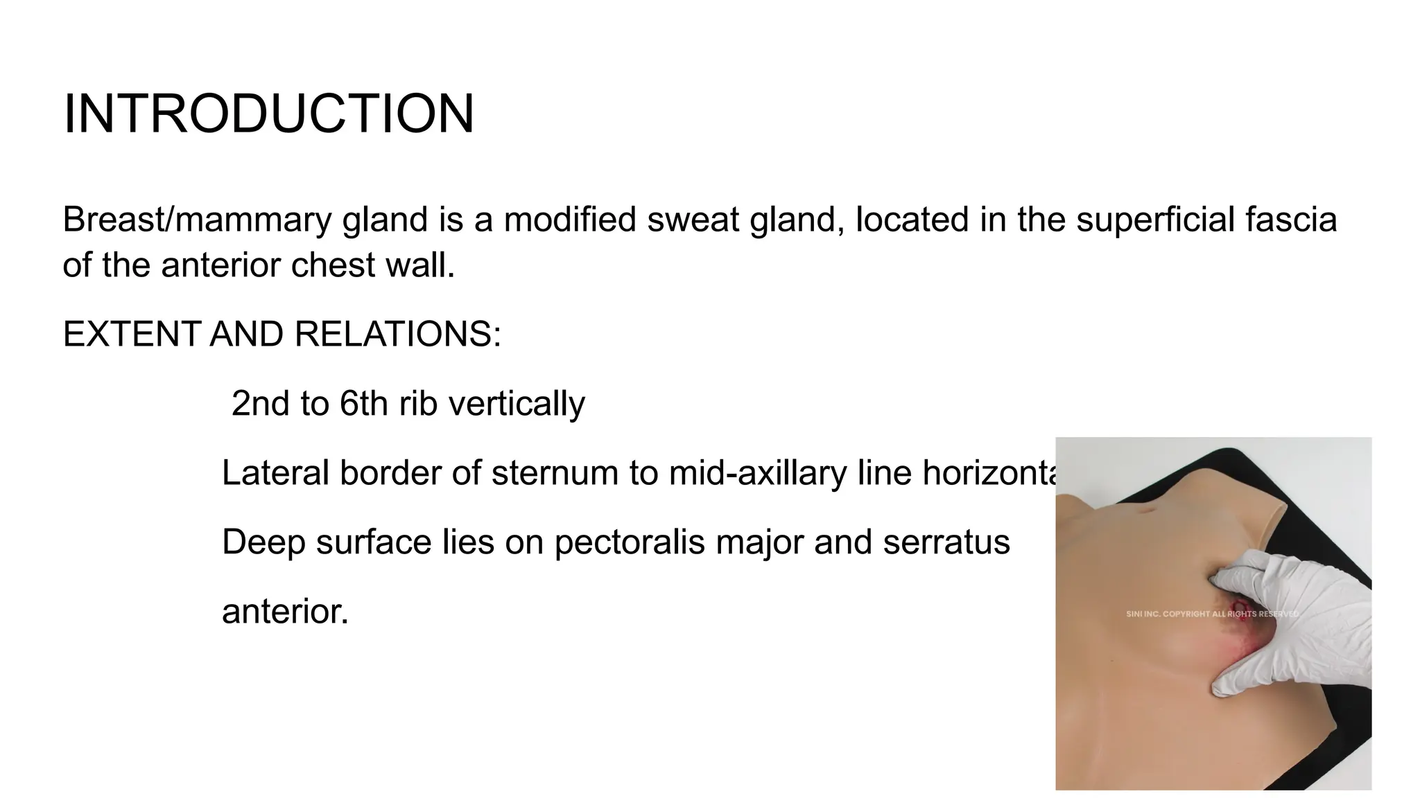 applied anatomy of breast for final year surgery | PPTX