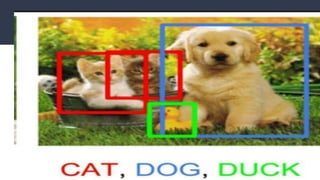 Computer vision Difference between object classification and object ...