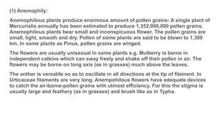 Untitled presentation.pdf free for you and you can use it | PDF