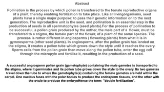 Untitled presentation.pdf free for you and you can use it | PDF