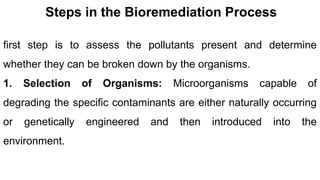 BIOREMEDIATION - Bioremediation organisms involved | PPTX