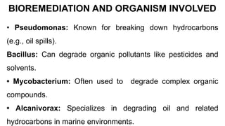 BIOREMEDIATION - Bioremediation organisms involved | PPT