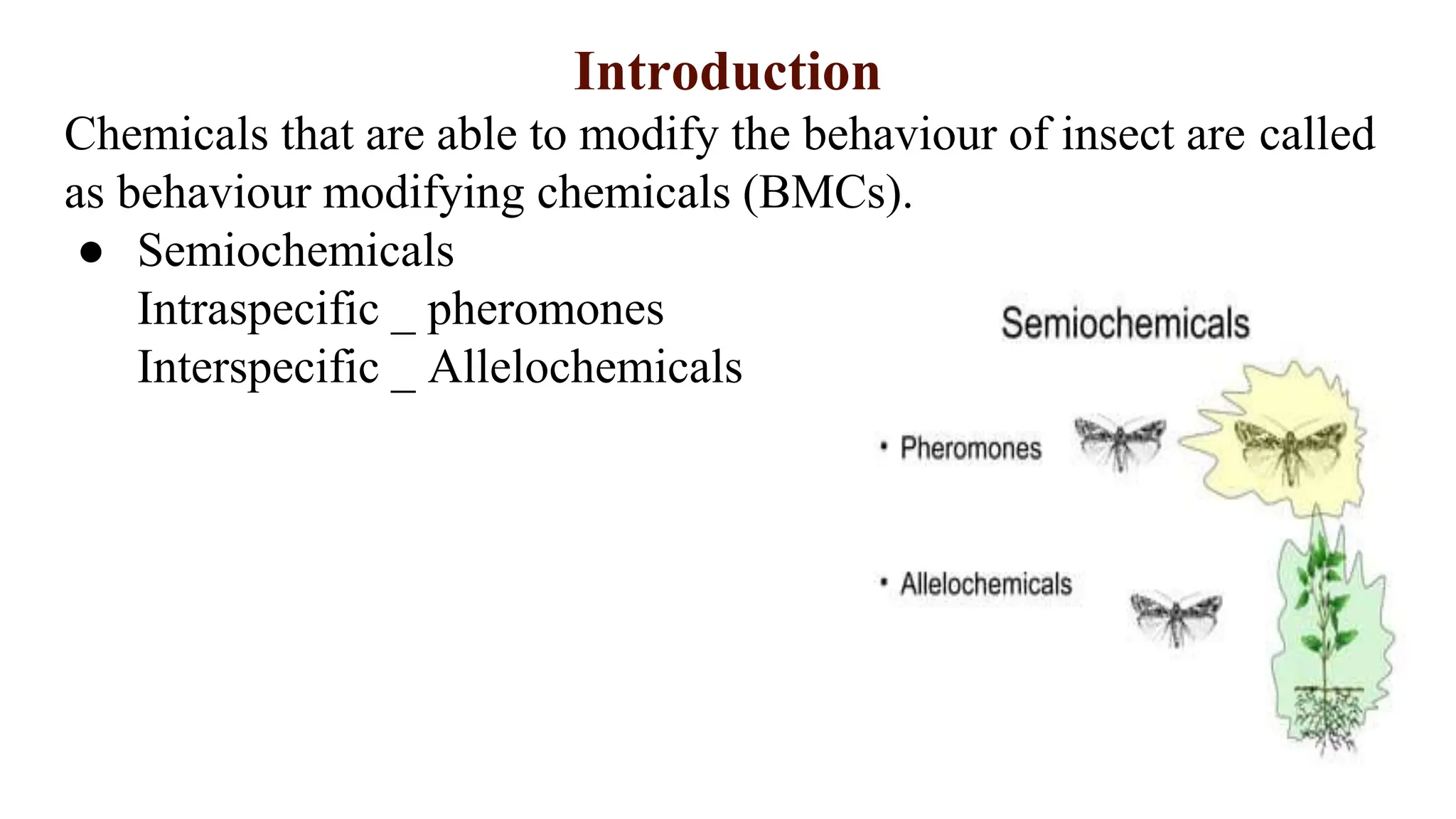 Behaviour modifying chemicals in insects , semiochemicals in insects ...